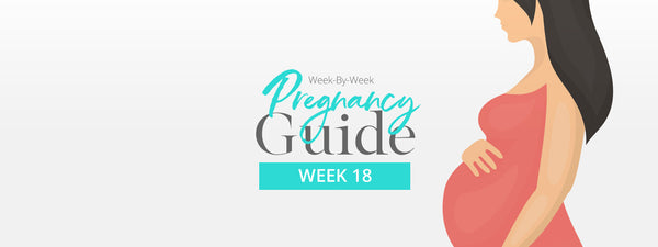 18 Weeks Pregnant: Your Weekly Pregnancy Guide | Baby Earth
