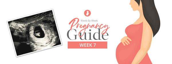 Pregnancy Week 7: Your Weekly Pregnancy Guide | Baby Earth