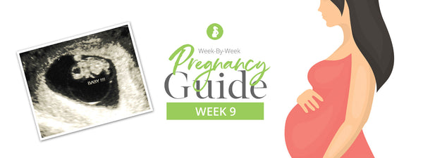 Pregnancy Week 9: Your Weekly Pregnancy Guide | Baby Earth